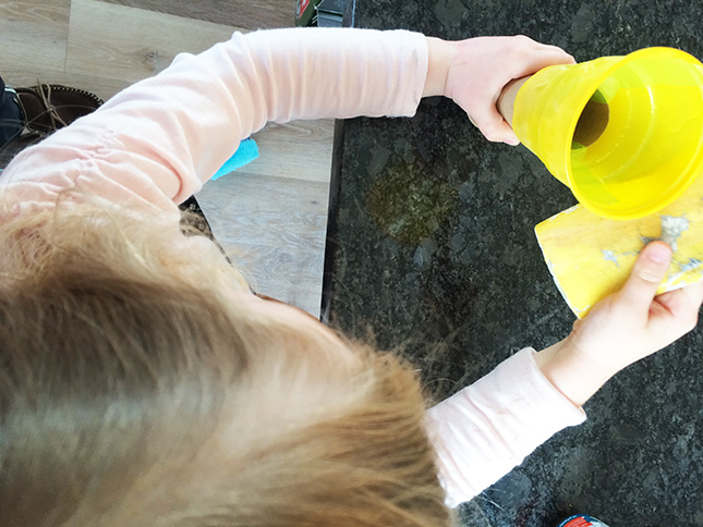 Toilet roll telescope - with optical illusion - Kiwi Families